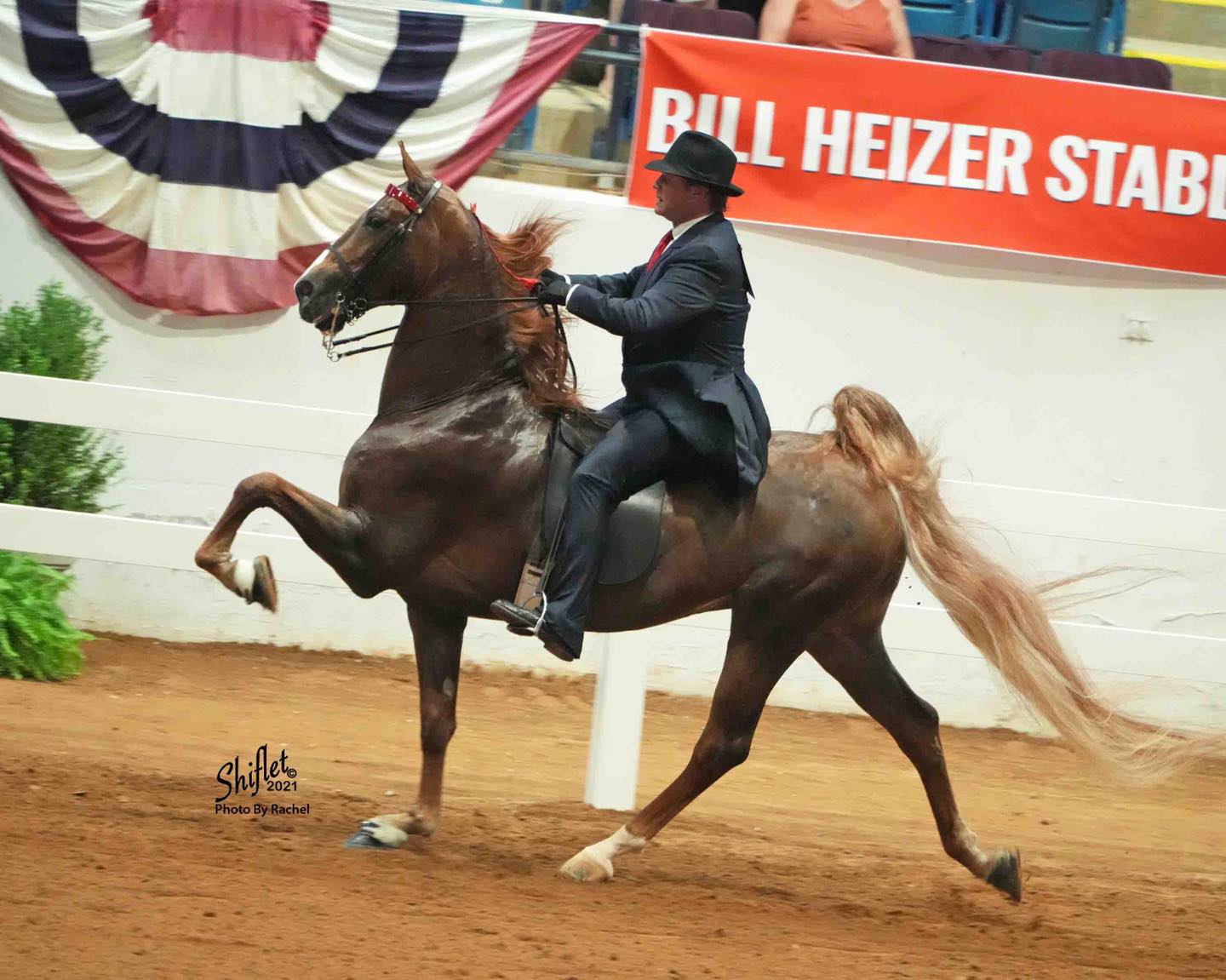 Social Media - Hagan Saddlebreds